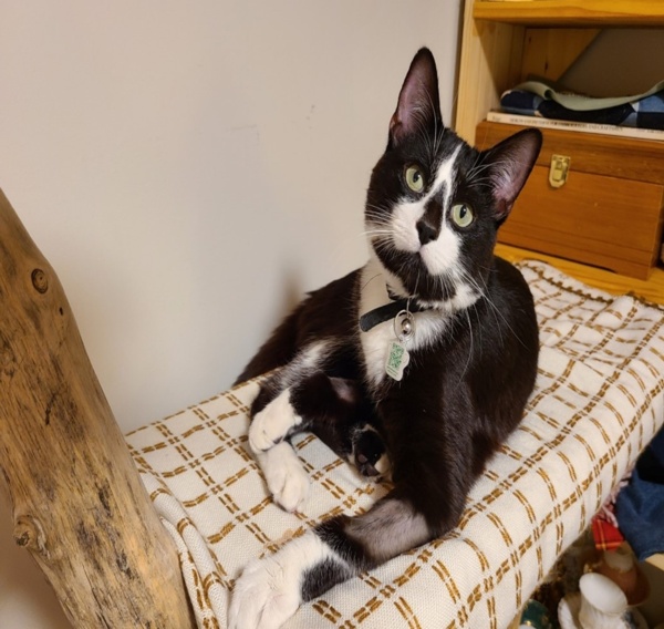 Animal Adoption Centre - University of Guelph Ridgetown Campus